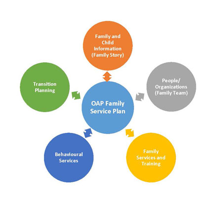 Delivery of OAP Services and Supports